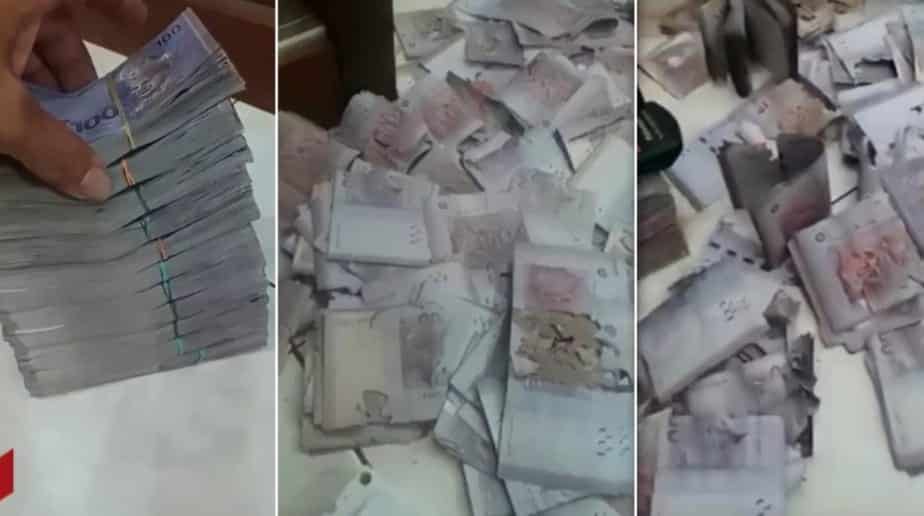 Duit RM300,000 disimpan nenek dalam tin habis musnah kena makan serangga