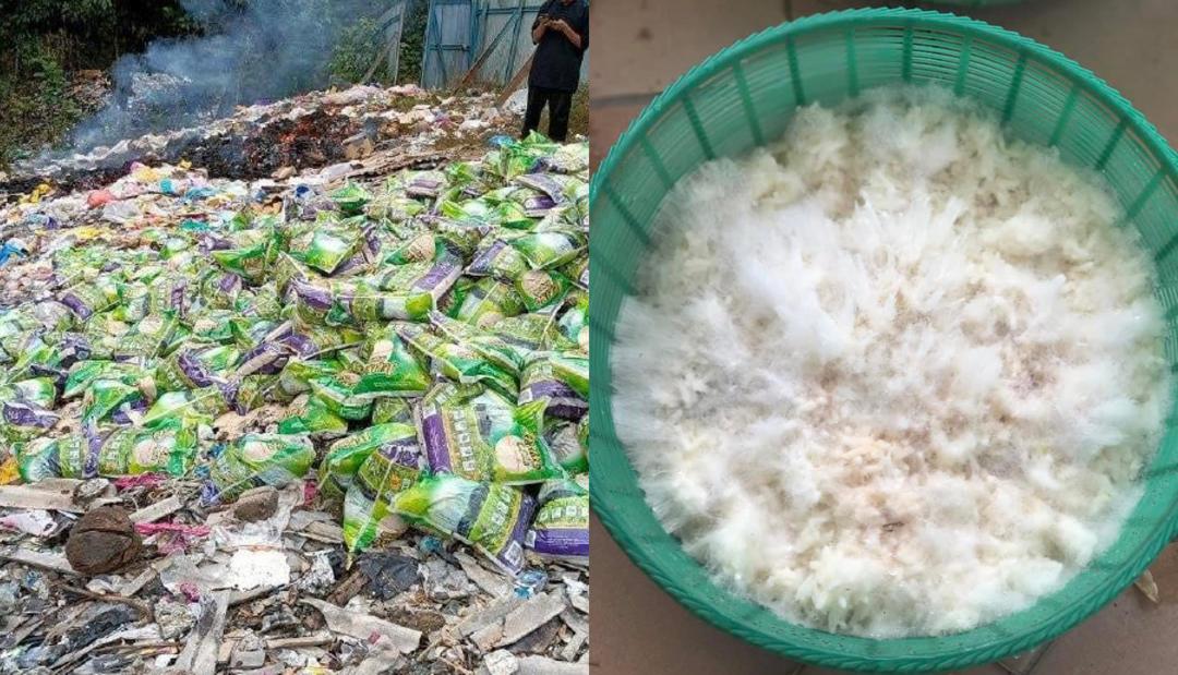 Baru tahu beras boleh jadi baja, jangan ‘bakar’ jika tamat tarikh luput ...