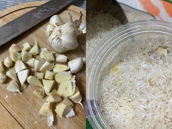 Ini tip nak simpan beras biar tahan setahun, tak perlu jemur atau ... Ini tip nak simpan beras biar tahan setahun, tak perlu jemur atau ...